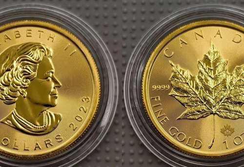 Канада 50 долларов 2023 Кленовый лист Золото 999