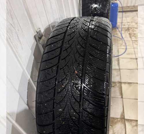 Triangle WinterX TW401 195/50 R16