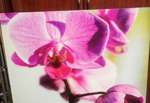 Картины модульные Орхидеи 2 шт