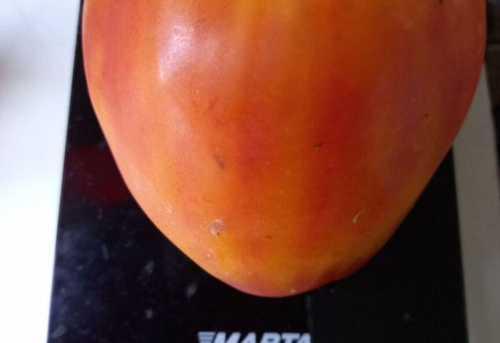 Семена томата оранжевый русский и красный кабан