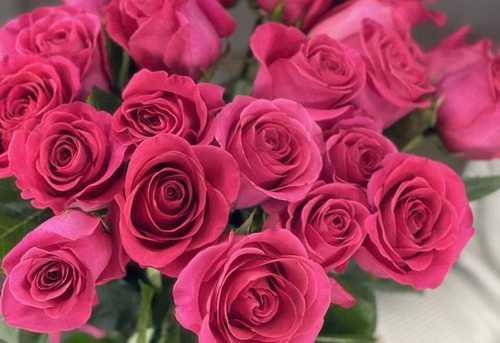 Ароматные розы, розы Эквадор, высокие розы