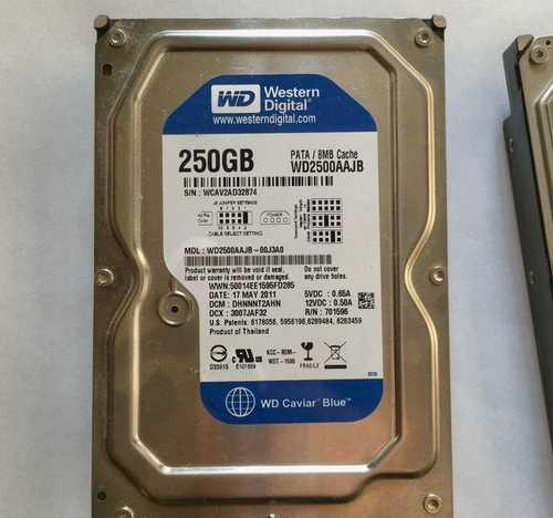 Жесткий диск IDE 250Gb WD 3,5"