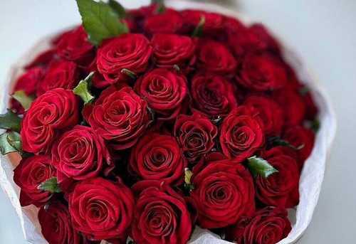 51 красная роза цветы с доставкой