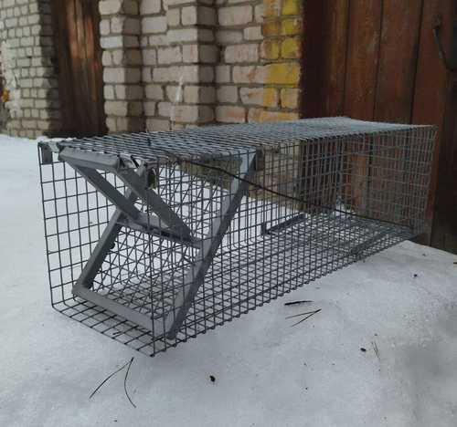Живоловушка