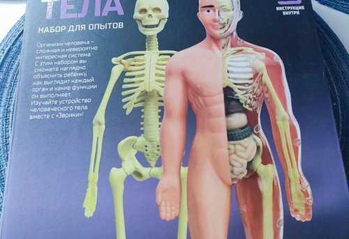 Детский набор анатомия строение тела человека