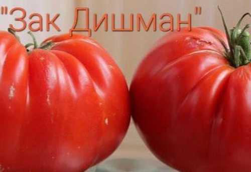 Семена томатов гигантов