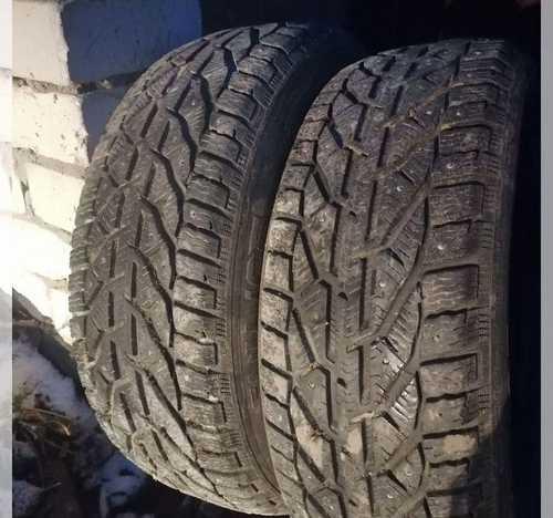 Tigar Winter 215/60 R17