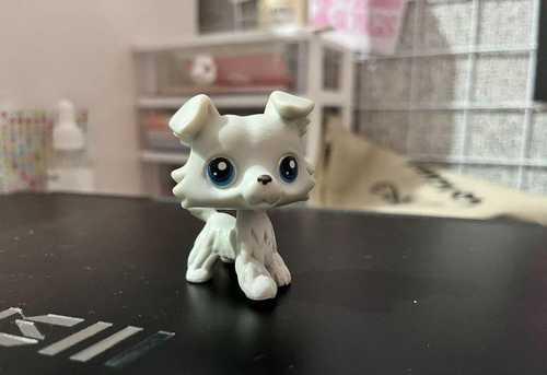 Littlest pet shop