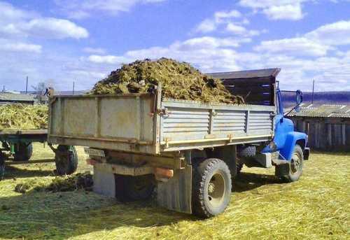 Чернозем, навоз, перегной. Газон