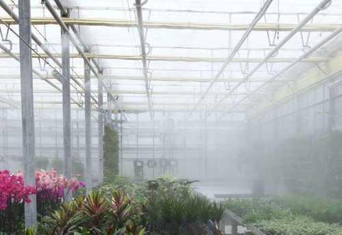 Системы увлажнения для цветов "туманообразование"