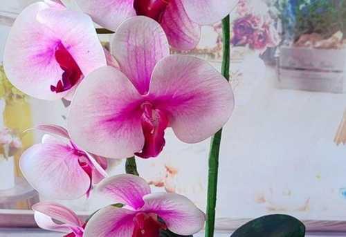 Подарок Орхидея цветы доставка