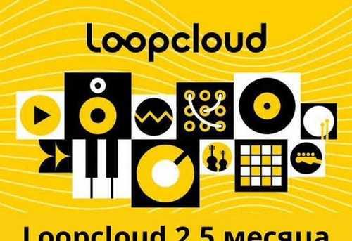 Loopcloud на 2,5 месяца подписка по credits