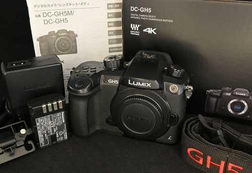 Panasonic GH5 body