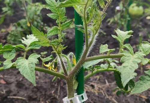 Клипсы для подвязки растений (томатов) 25 мм