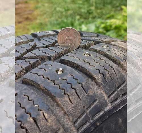 Tigar Sigura Stud 185/65 R15 92T