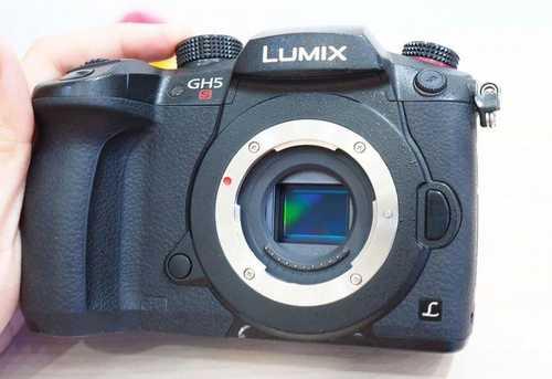 Panasonic lumix GH5S