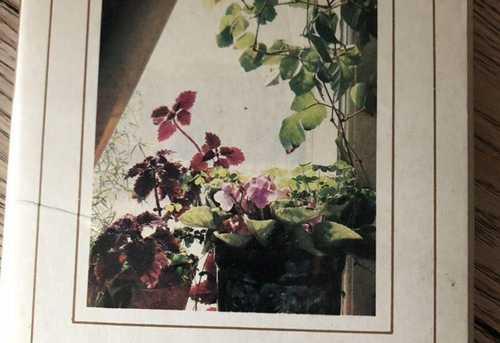 Интересное описание с фото комнатных растений