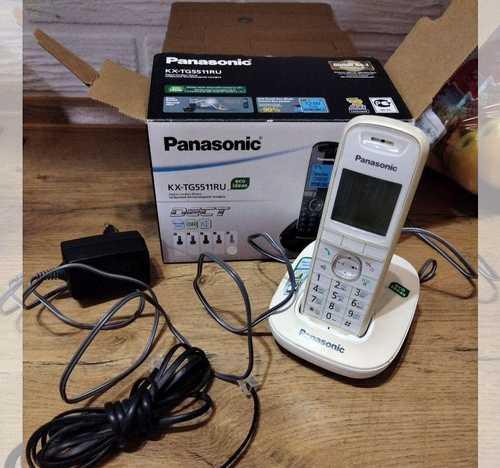 Panasonic