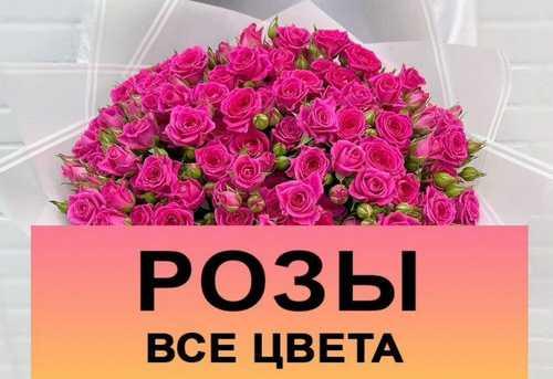 Большие розы высокие розы