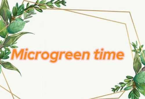 Microgreen time, микрозелень под заказ