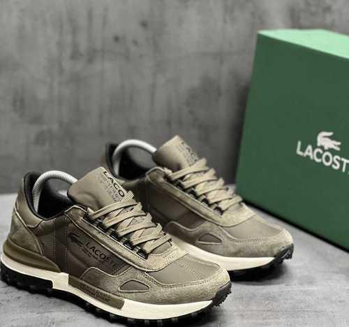 Кроссовки мужские lacoste43