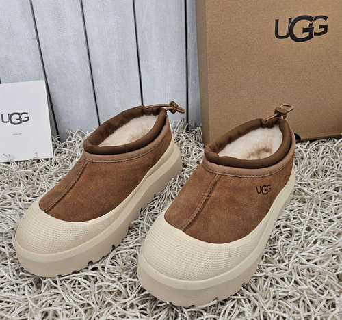Угги Ugg Mens Tasman Hybrid Chestnut оригинал
