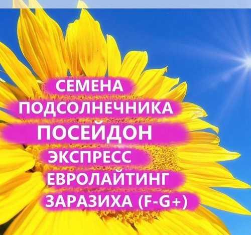 Семена подсолнечника Посейдон