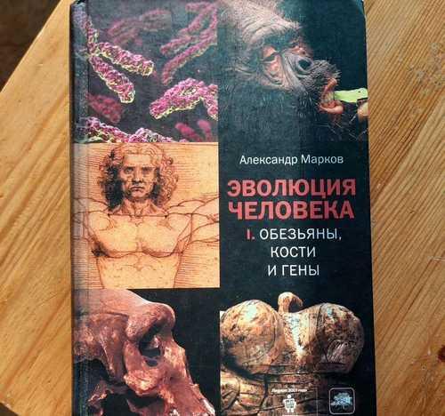 Эволюция человека. Книга 1. Марков