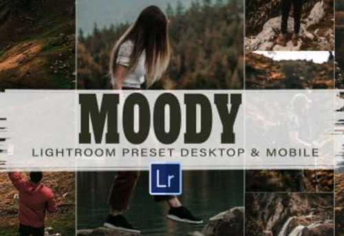 Lightroom пресеты 10 Moody presets