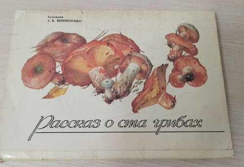Набор акварельных открыток рассказ о ста грибах