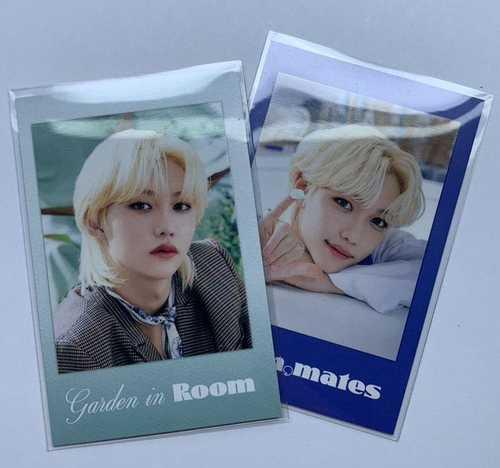 Stray kids season greetings 2022 felix card