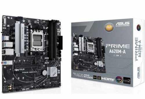 Asus prime A620M-A-CSM