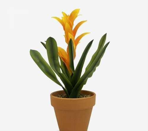 Гузмания (Guzmania) искусственная в терракотовом к