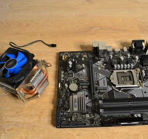 Asus prime b360m a