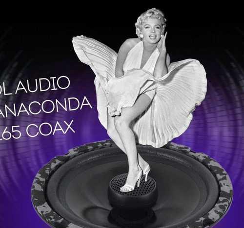 DL Audio Anaconda 165 Coax (Коаксиальная акустика