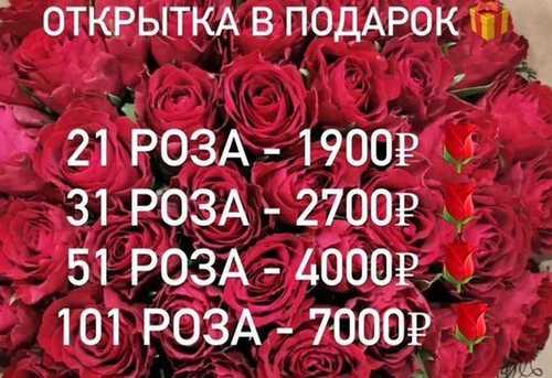Пушкин 101 роза цветы доставка Московская 22