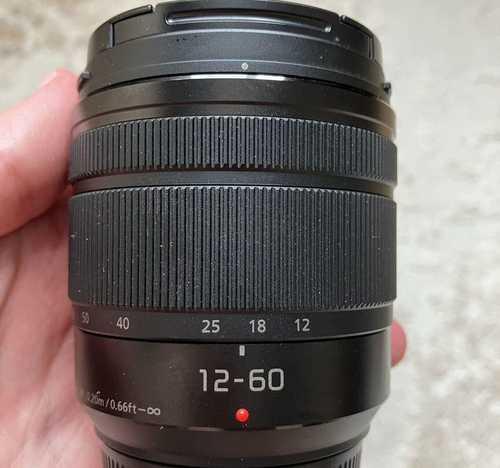 Panasonic 12-60mm f/3.5-5.6 Lumix G Vario O.I.S