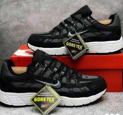 Кроссовки Nike p6000 gore tex термо (40-46)