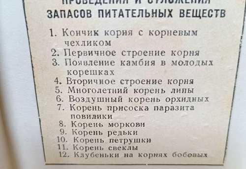 Набор микропрепаратов