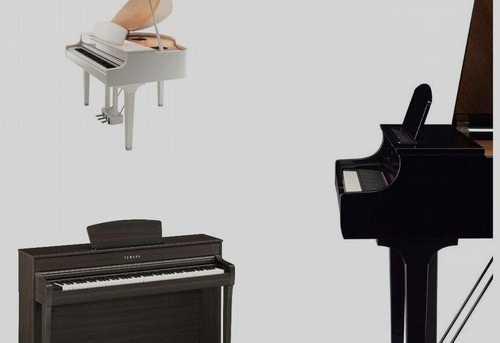 Цифровой рояль Yamaha CLP-765GP арт В150