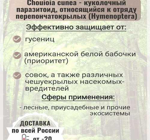 Chouioia cunea от Гусениц совок