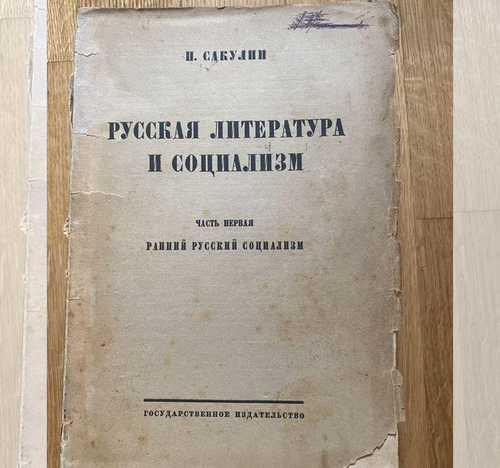 1924 Сакулин Русская литература и социализм