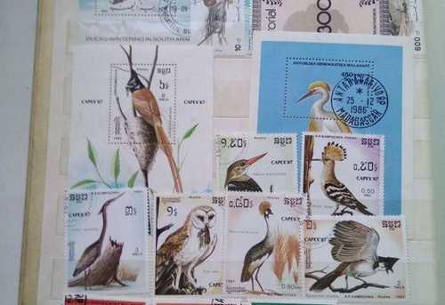Почтовые марки мира птицы