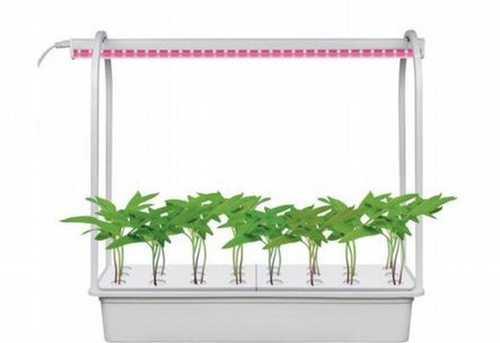 Гидропонная установка для микрозелени салатов