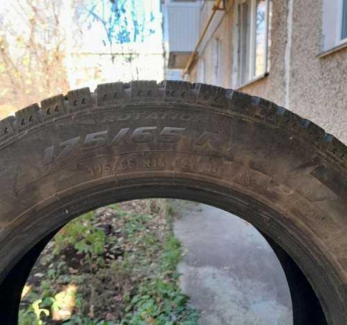 Zetro Ice Edge 175/65 R14