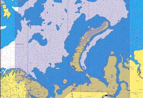 Карта глубин для эхолота Lowrance С-MAP RS RS-Y202