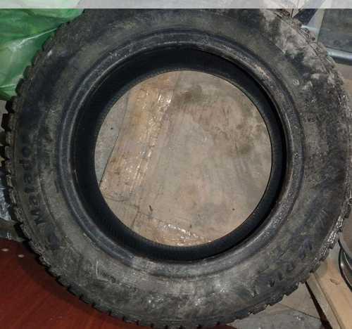 Matador MP 50 Sibir Ice 175/65 R14