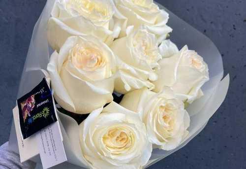 Букет роз от 5 шт candlelight премиум качество