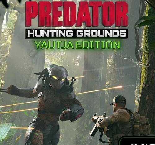 Predator: hunting grounds xbox XS ключ