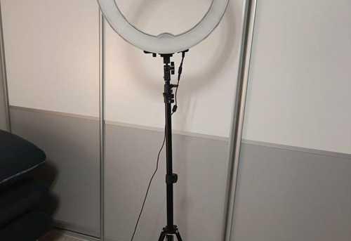 Кольцевая лампа RL-480B диам. 48 см со штативом
